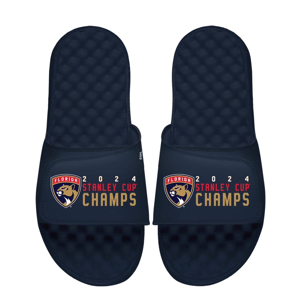 Florida Panthers 2024 Stanley Cup Champions Stack – Gametime Vintage